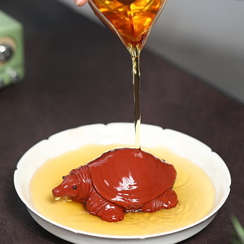 Softshell Turtle Purple Clay Tea Pet – ClayPurple